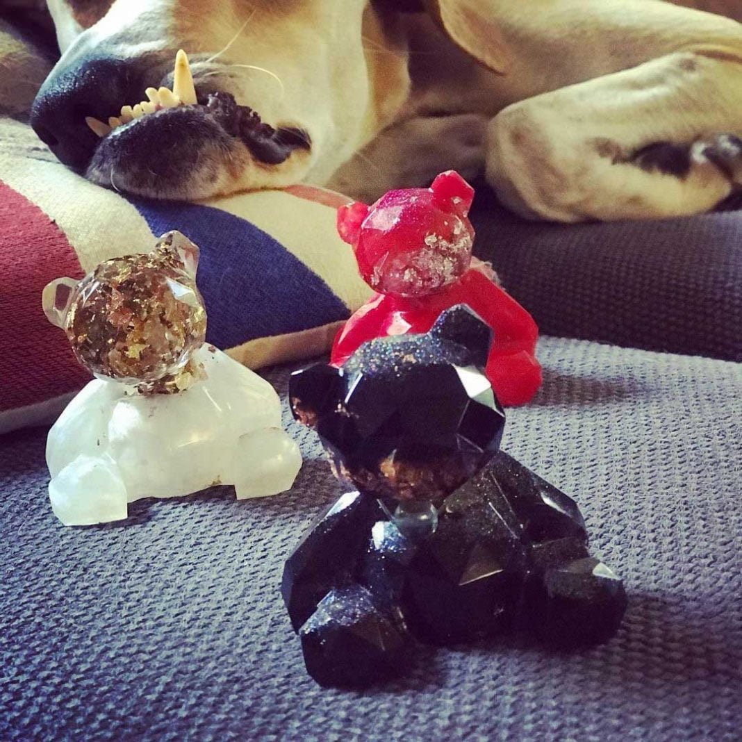 Perro con la cara torcida se convierte en una estrella de Internet