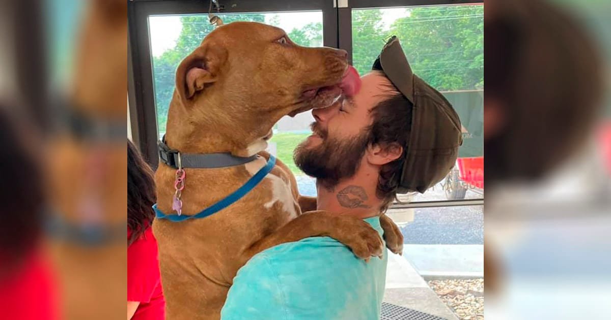 Perro robado exige un abrazo cuando se reúne con su papá