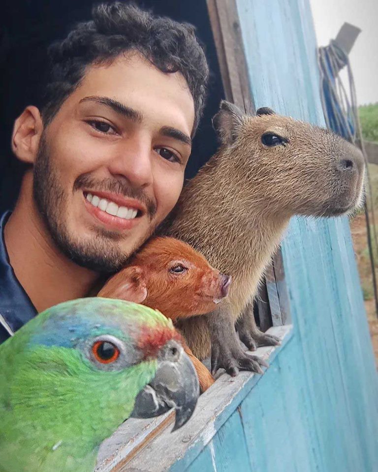Capibara mimado comparte vínculo adorable con este hombre